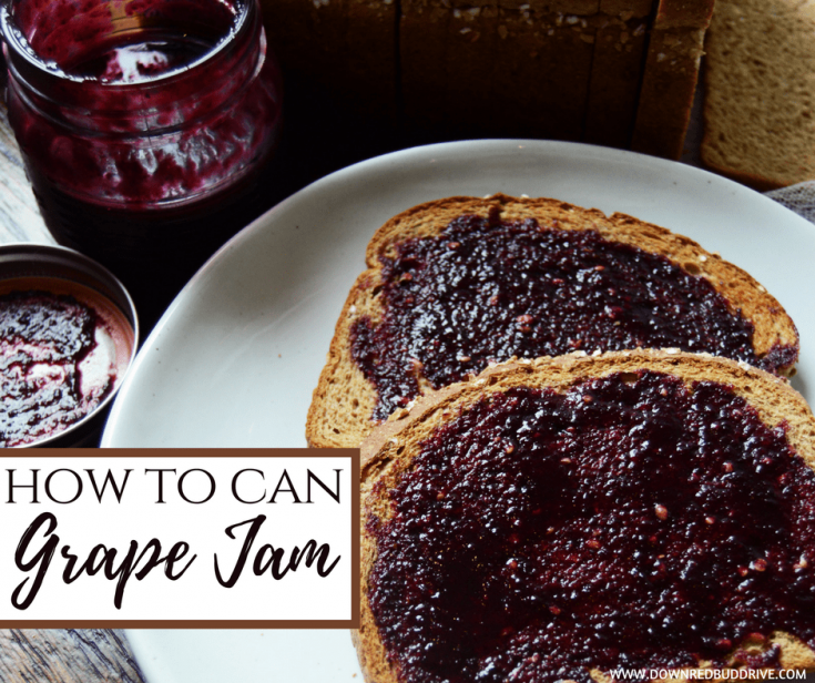 HOW TO CAN GRAPE JAM fb - Down Redbud Drive