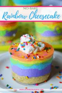 No Bake Rainbow Cheesecake | No Bake Cheesecake in color!