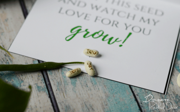 Personalized Seeds | An easy DIY with free printable cards!