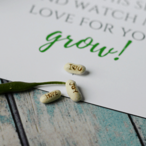 Super Easy DIY Seed Bombs - With Free Printable Gift Tag!