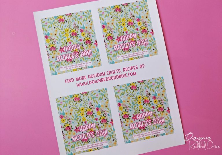 DIY Mother's Day Seed Gift | With FREE Printables!