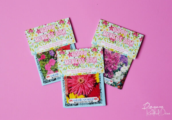 DIY Mother's Day Seed Gift | With FREE Printables!