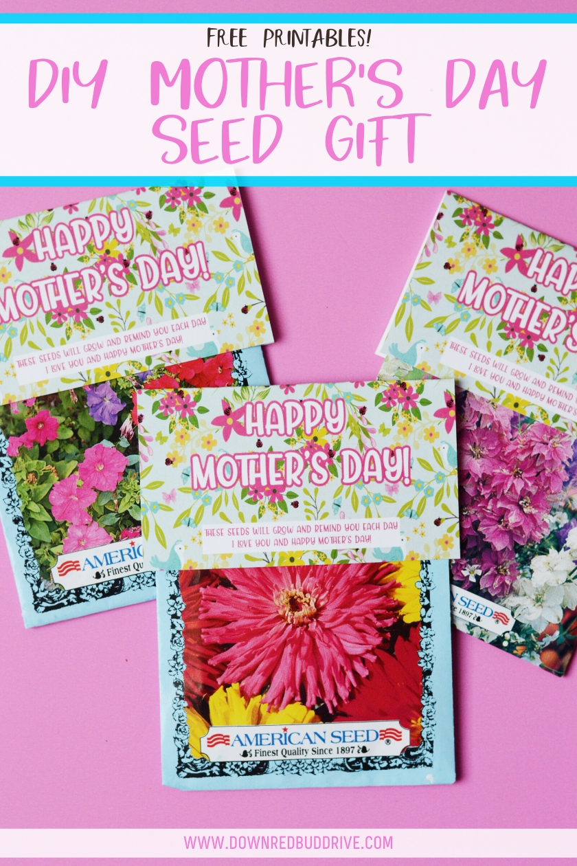 DIY Mother's Day Seed Gift | With FREE Printables!