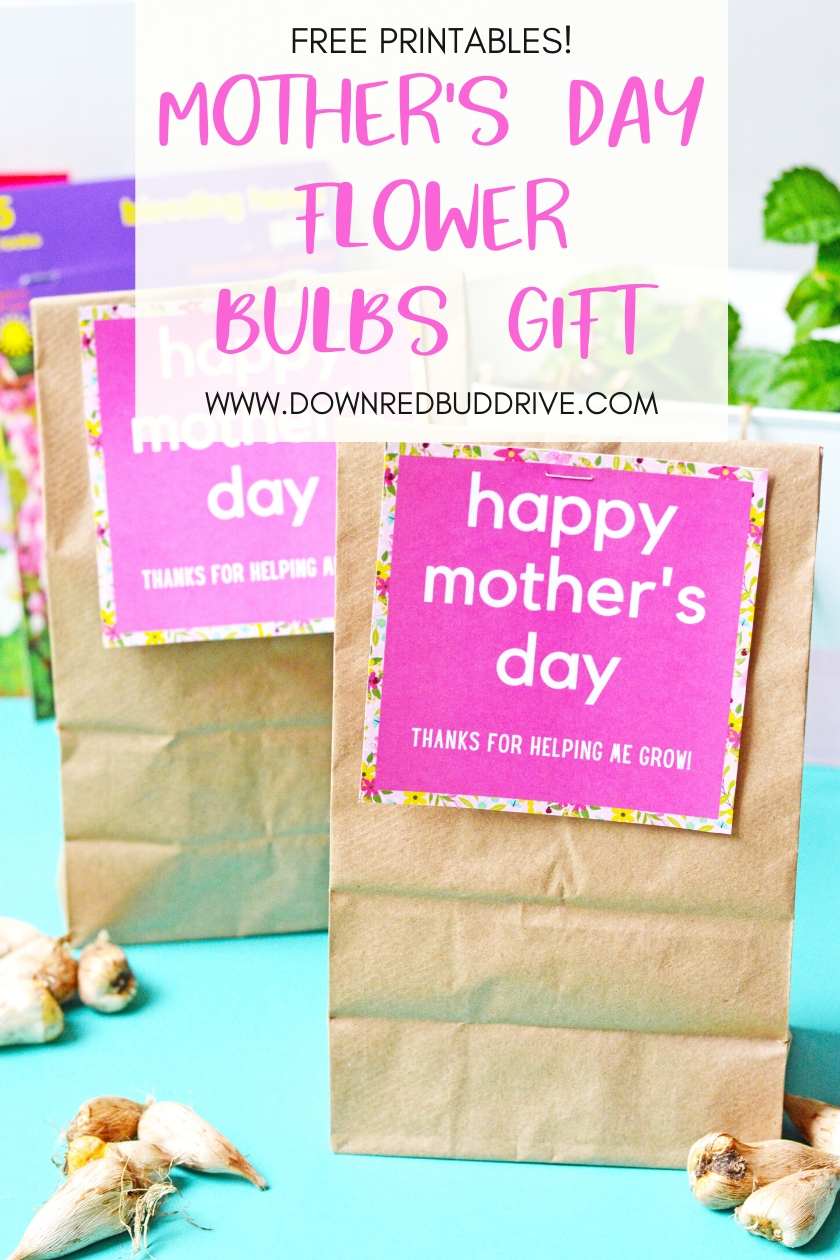 Mother's Day Flowering Bulb Gift | With free printable tags!