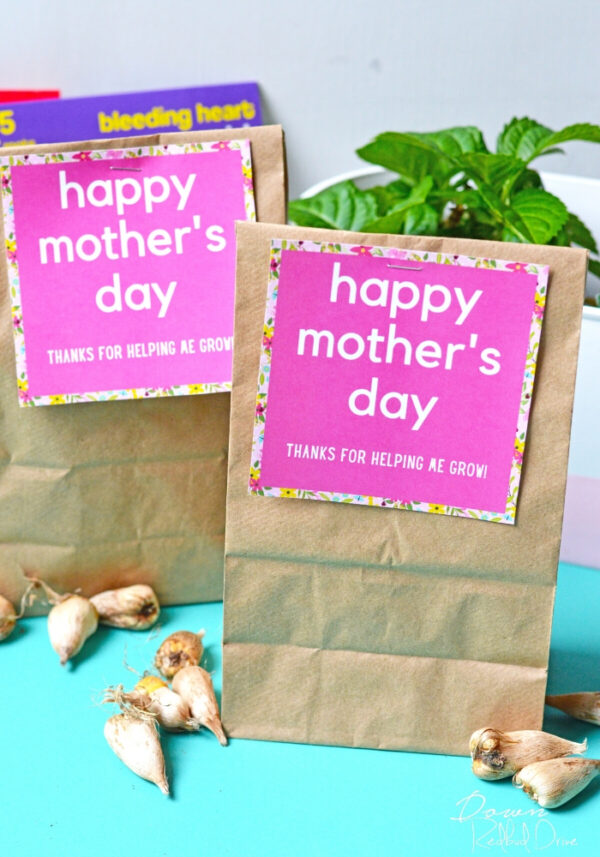 DIY Mother's Day Seed Gift | With FREE Printables!