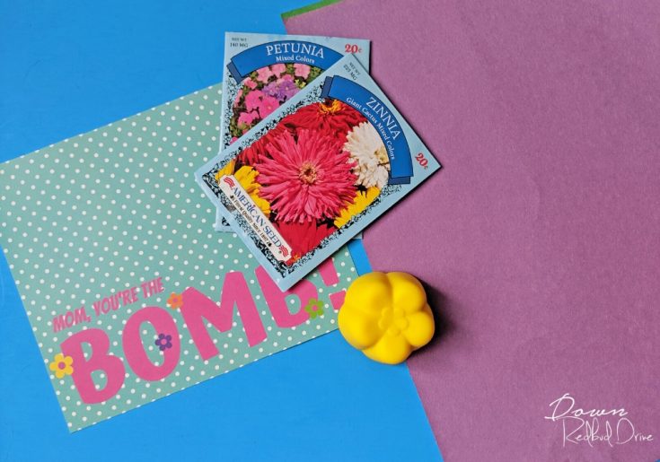 Super Easy DIY Seed Bombs - With Free Printable Gift Tag!