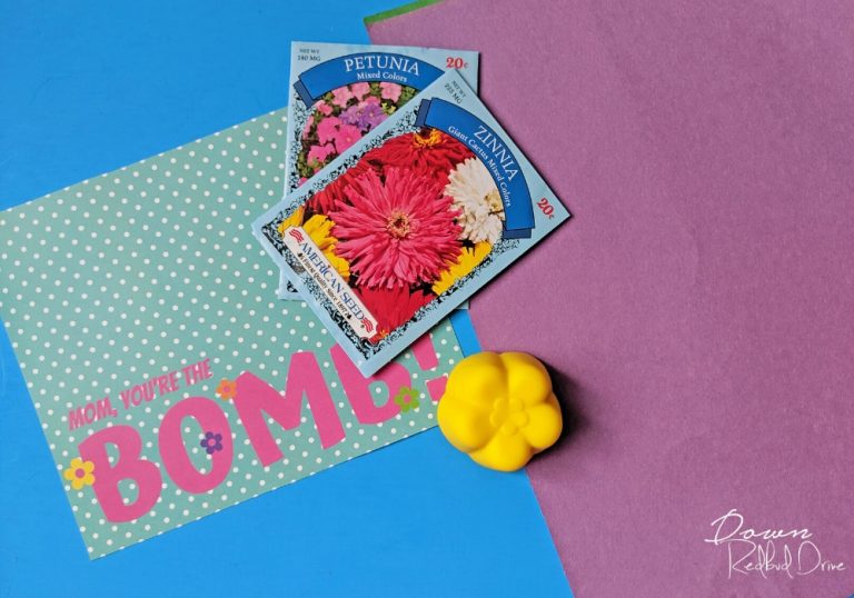 Super Easy DIY Seed Bombs - With Free Printable Gift Tag!