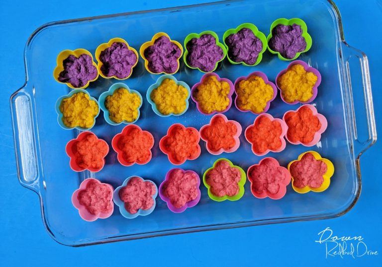 Super Easy DIY Seed Bombs - With Free Printable Gift Tag!