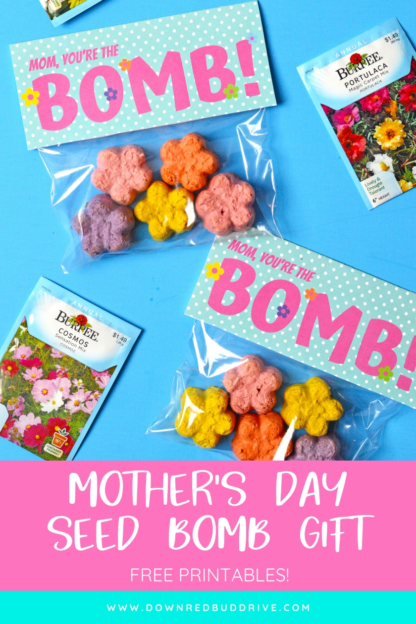 Super Easy DIY Seed Bombs - With Free Printable Gift Tag!