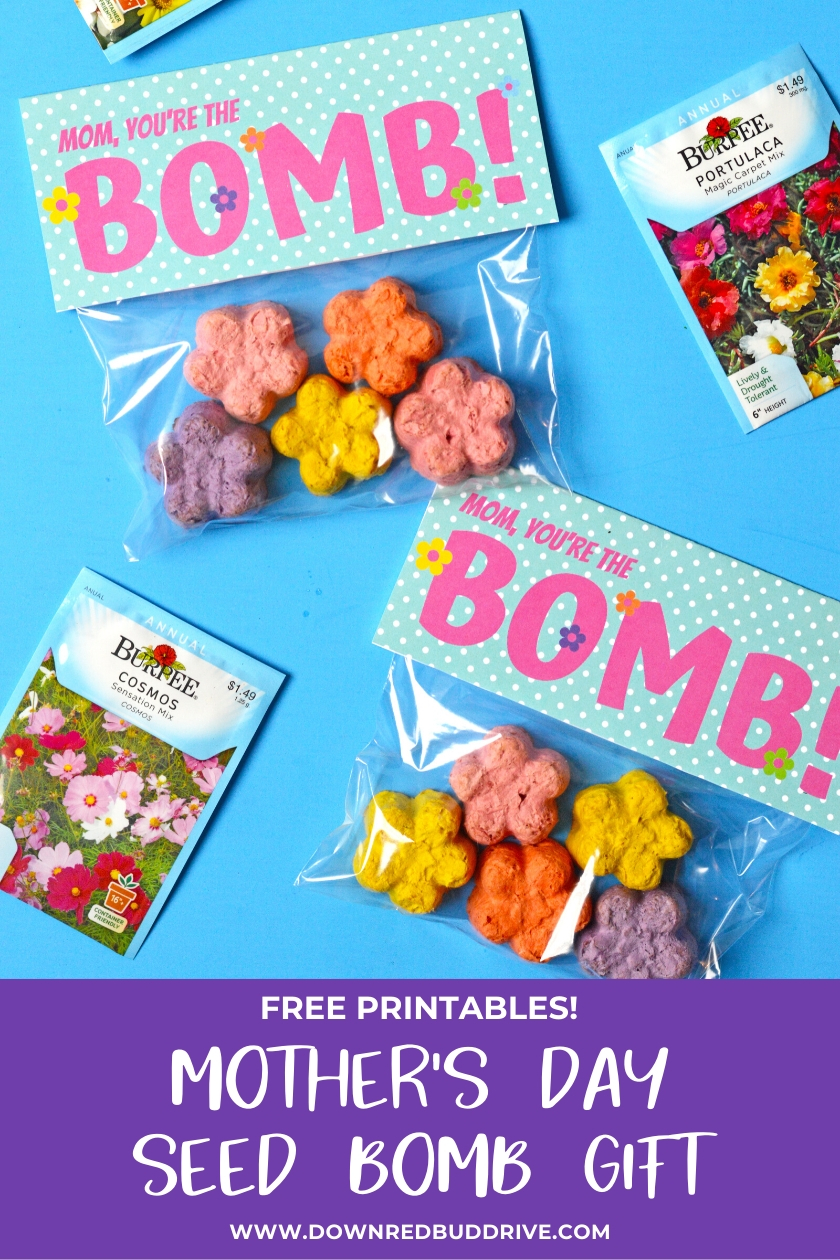 Super Easy DIY Seed Bombs - With Free Printable Gift Tag!