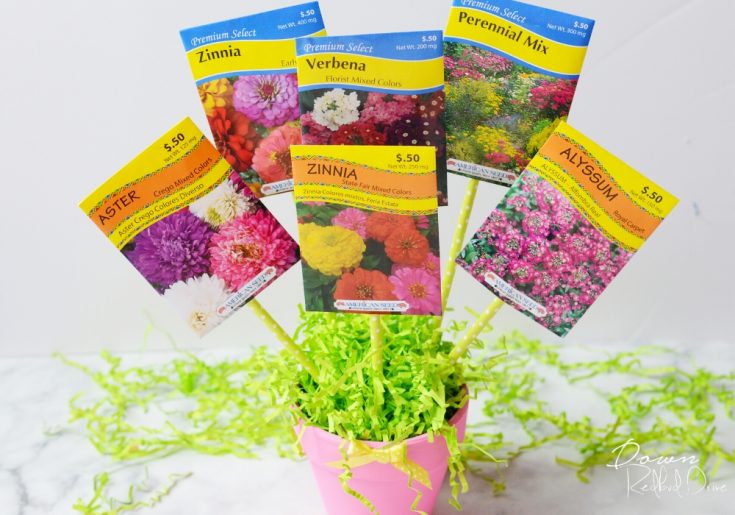 DIY Seed Bouquet Gift | The perfect way to give flower seeds!