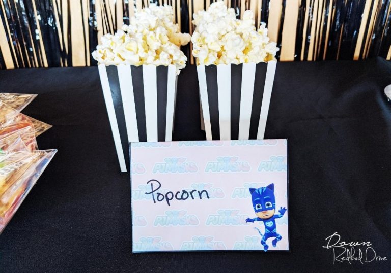 PJ Masks Birthday Party | Lots of Ideas and Free Printables!