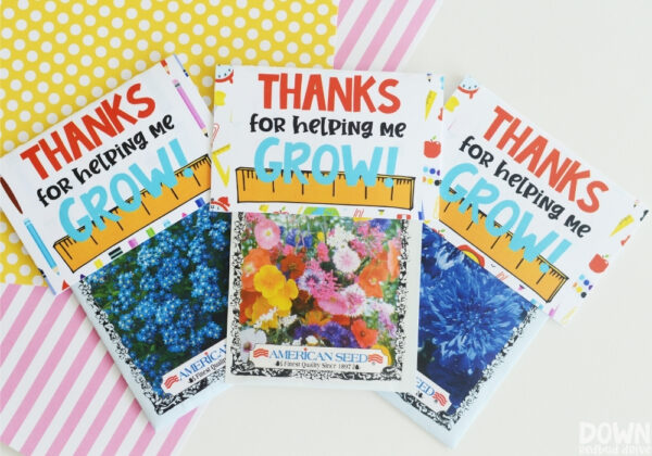DIY Teacher Seeds Gift | Thanks for helping me grow!