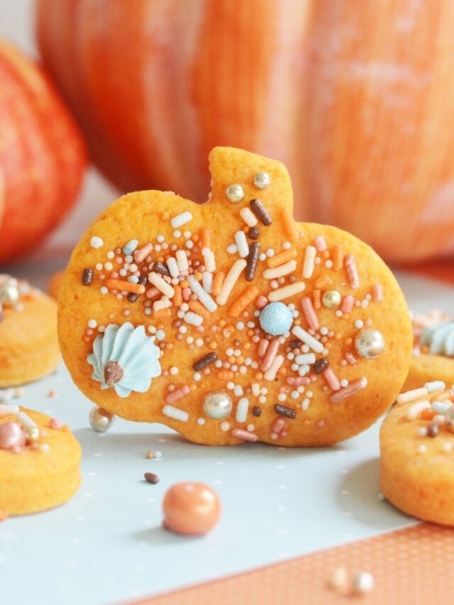 Pumpkin Sprinkle Cookies Story - Down Redbud Drive