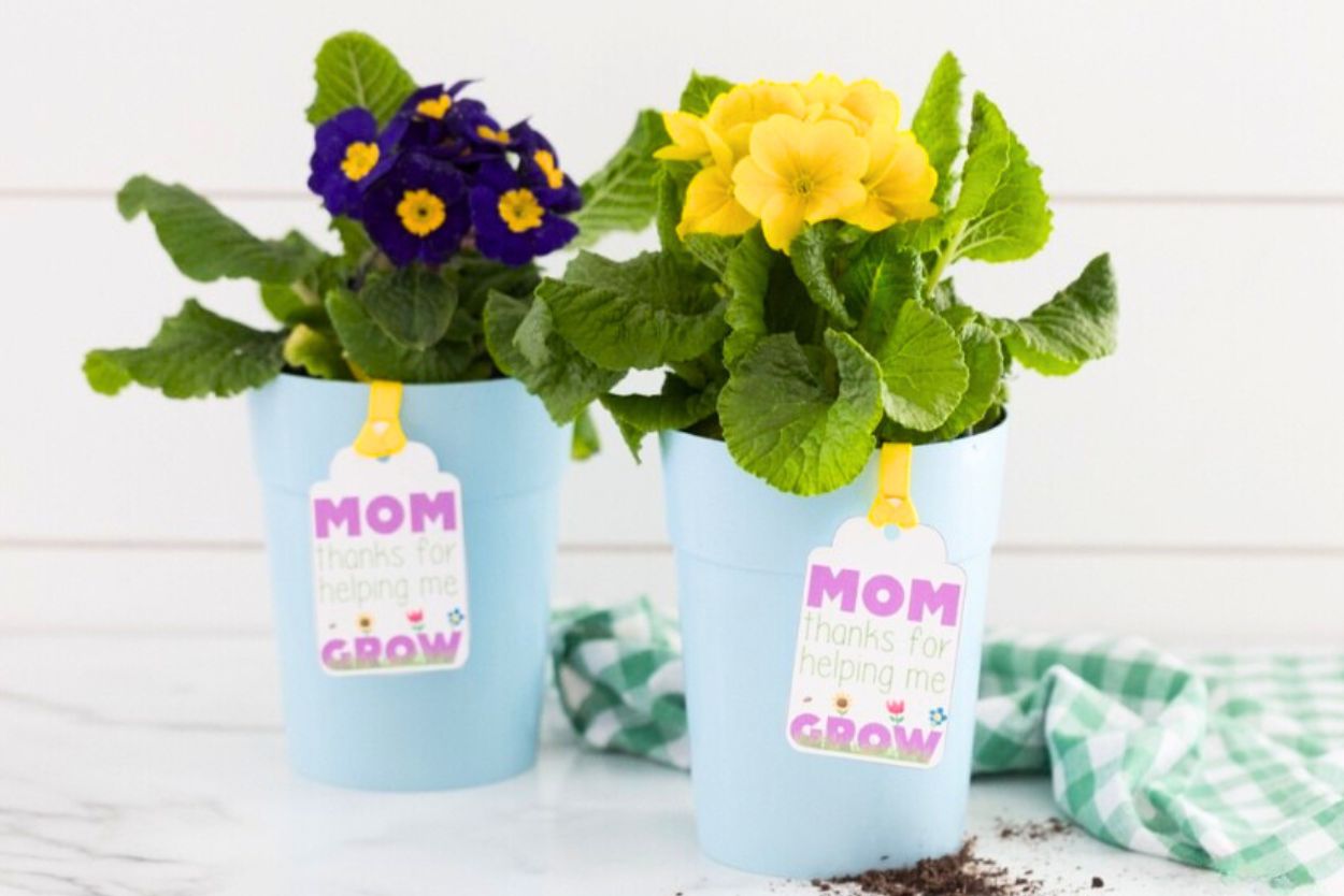 Mother's Day Flower Pot Gift | Free Printable Tags!