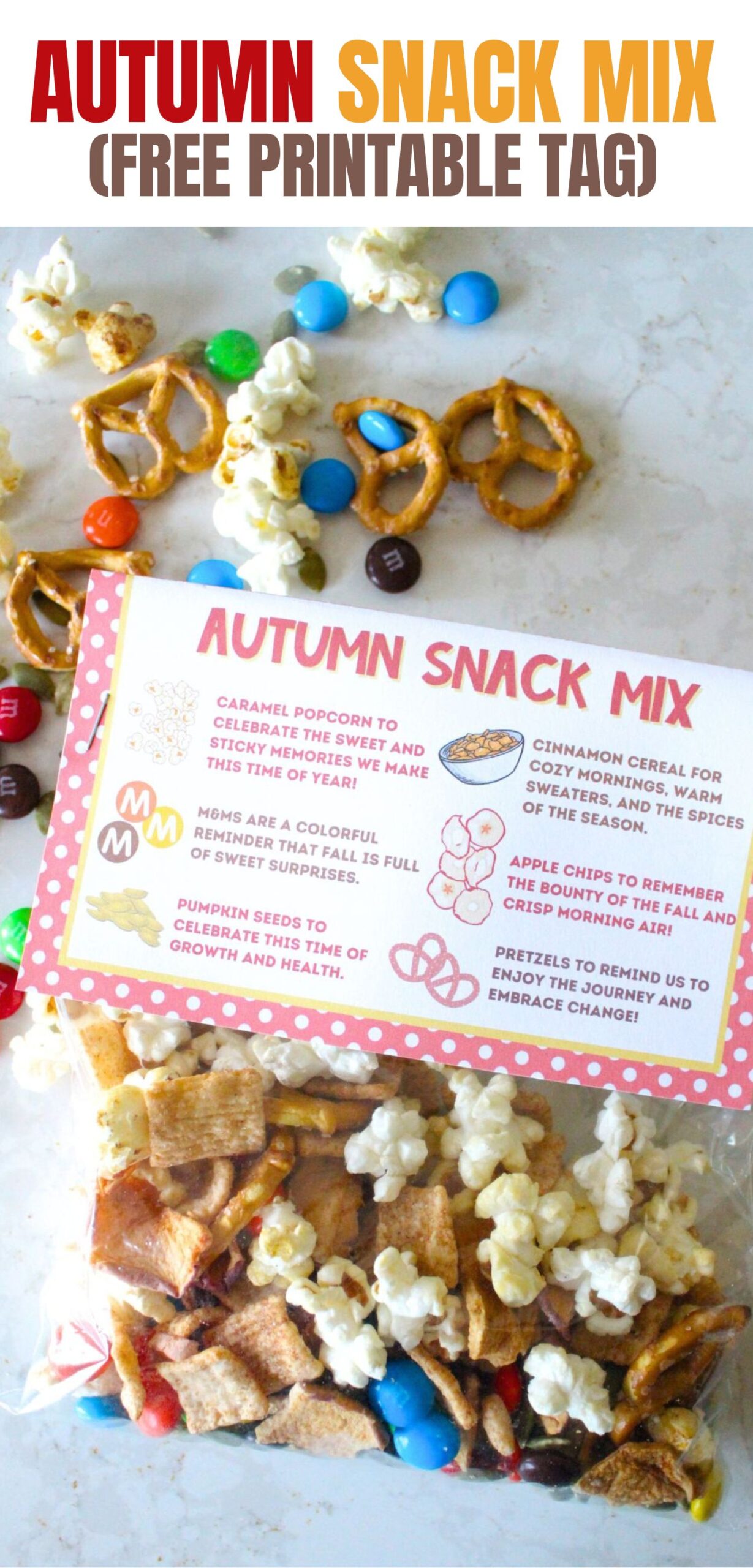 Autumn Snack Mix (With Printable Tag)